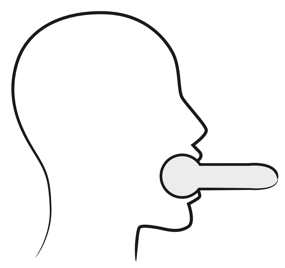 Zado Fetish - Leather Mask with inflatable Gag Collar & Leash – The ...